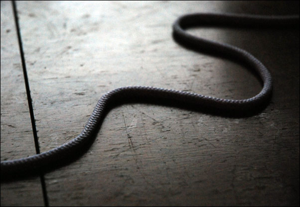 So far, the RBA has pushed on a string - MacroBusiness