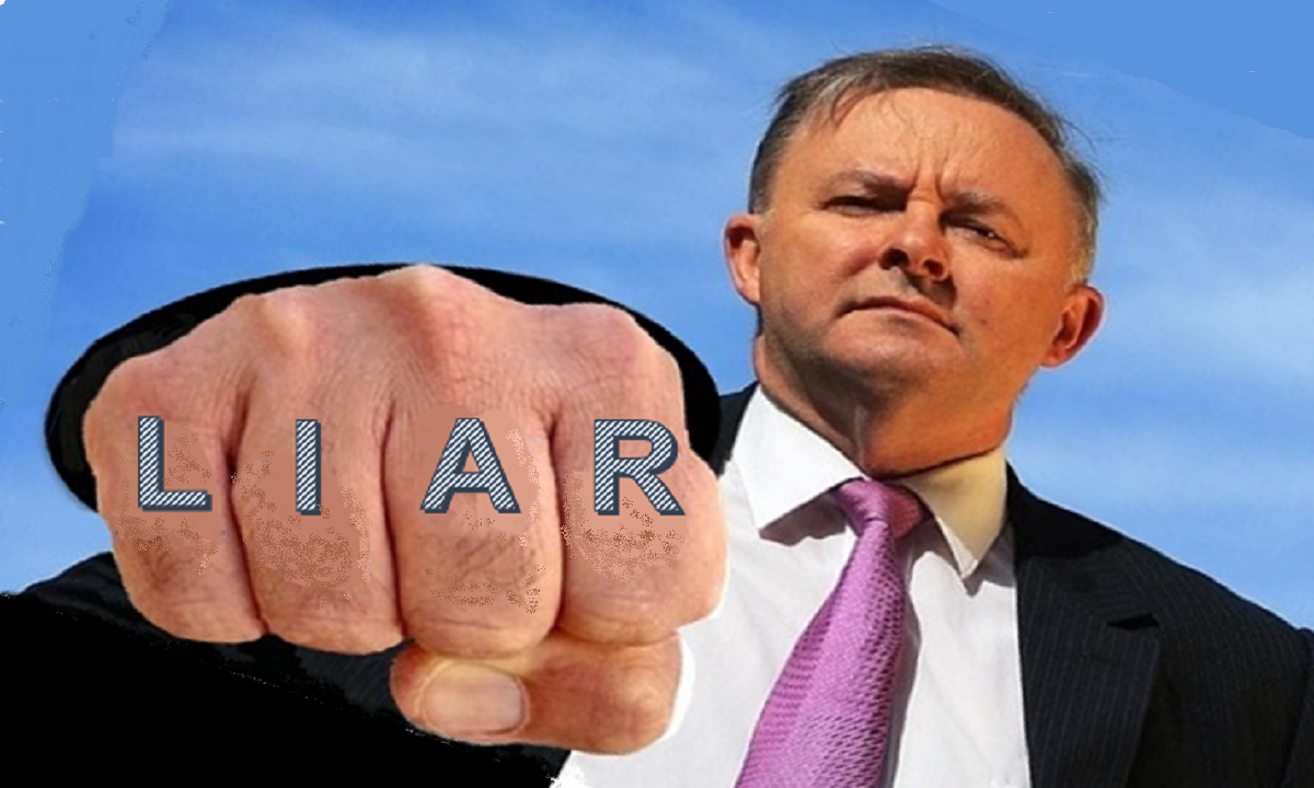 Albo's astonishing platform of lies, half-truths and gaslighting ...