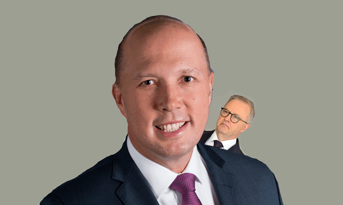 The worker's champion rises, and it ain't Albo - MacroBusiness