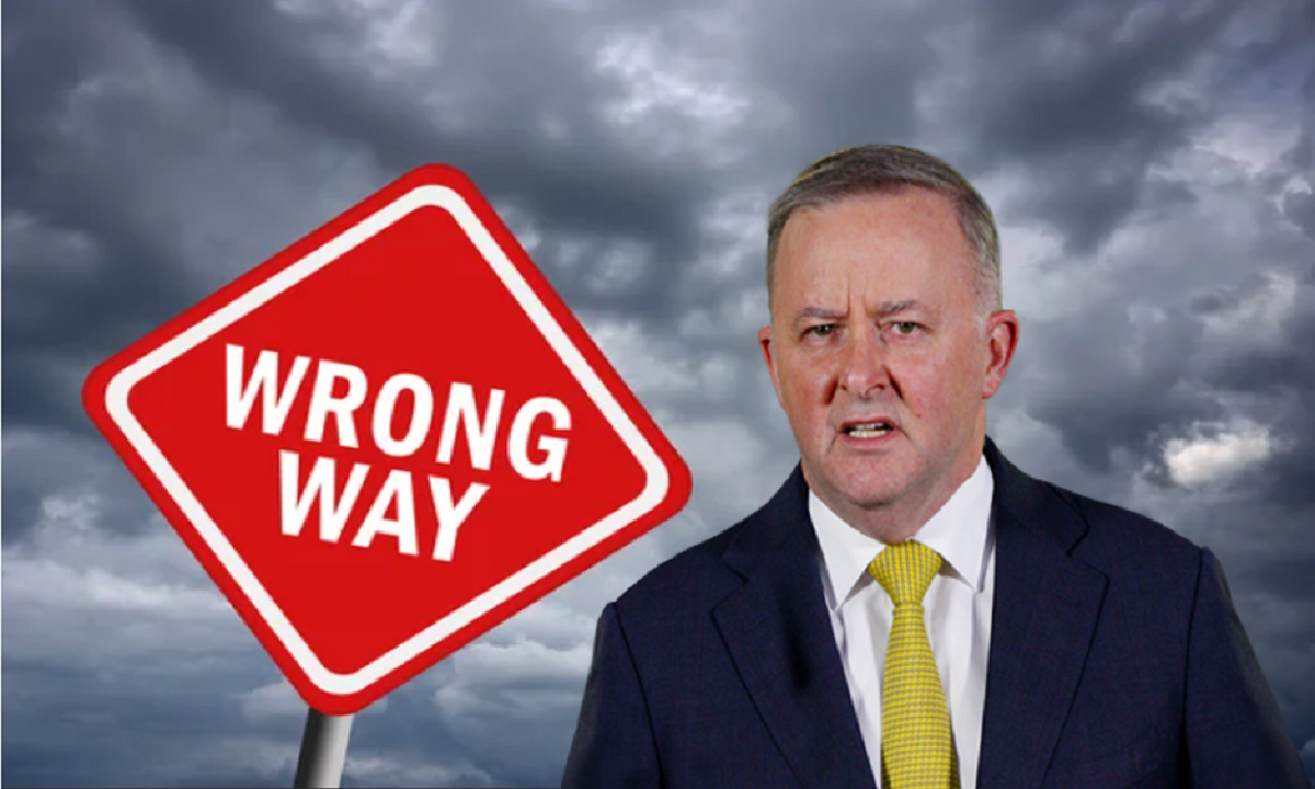 Natalie roush ashole setup with Camille was somewhat easy