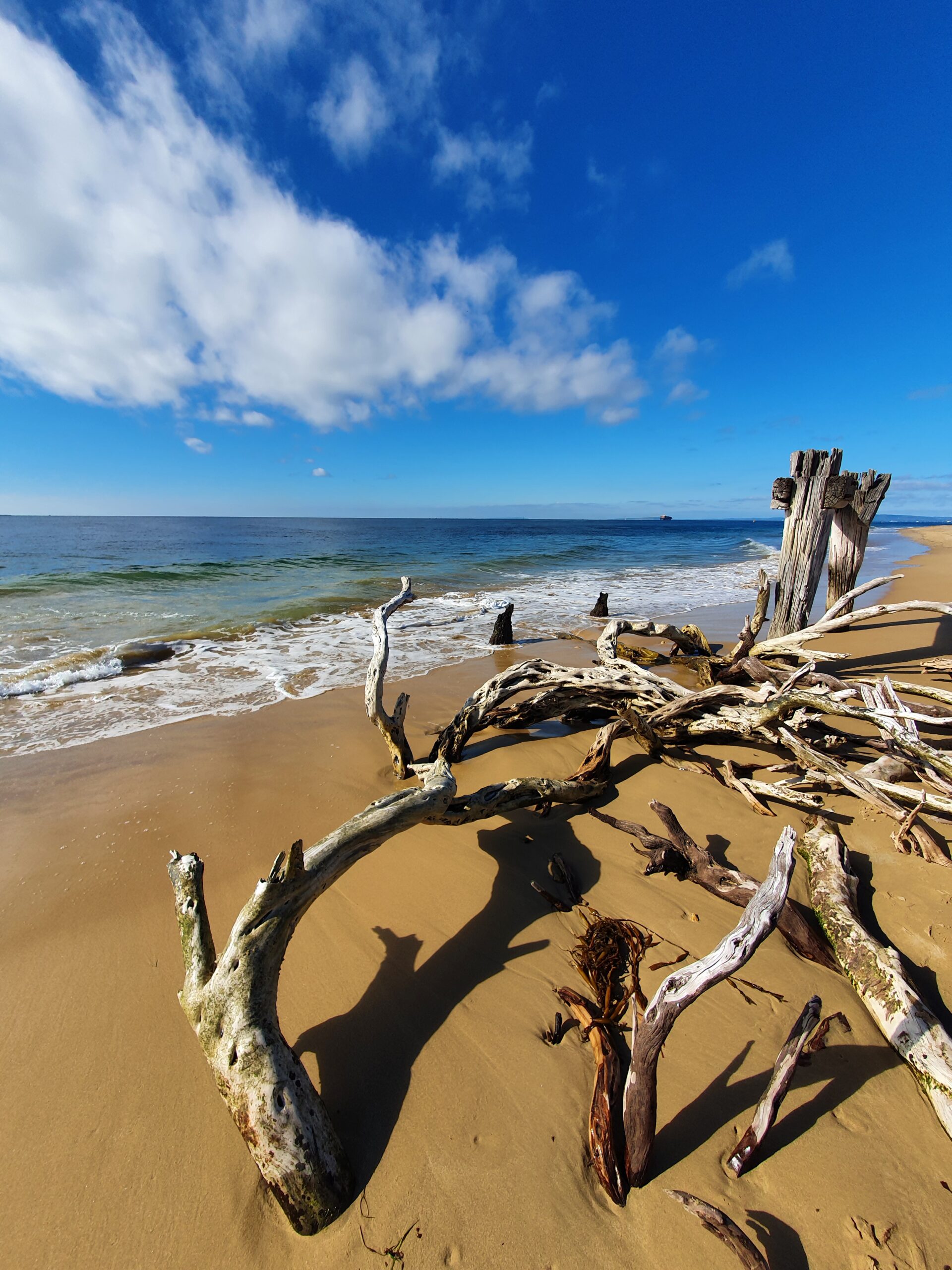 Macro Afternoon: 14 May 2025 - MacroBusiness