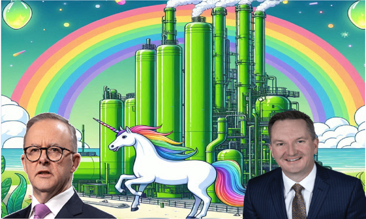 Australia: a global leader of energy idiocy - MacroBusiness