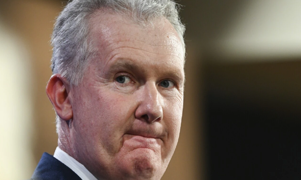 Tony Burke shouldn't lecture about 'social cohesion' - MacroBusiness