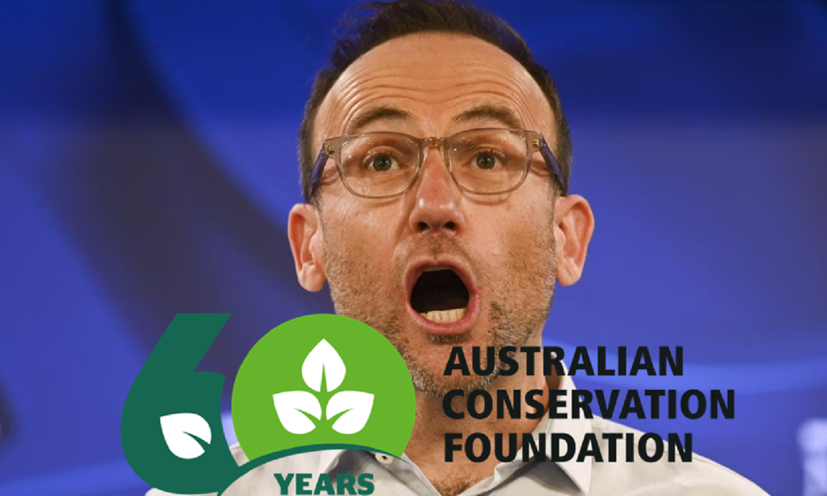Adam Bandt returns to make ACF even less relevant - MacroBusiness